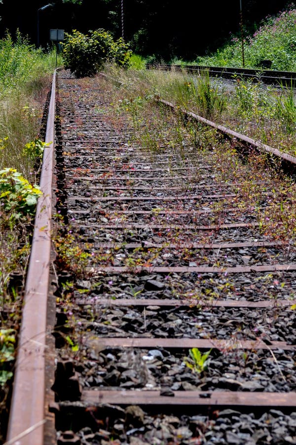 Old Rusty Rails on Unused Railroad Overgrown with Grass and Shrubs ...