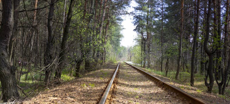 Old Rusty Railway Tracks Lying through the Woods on Which the Train ...