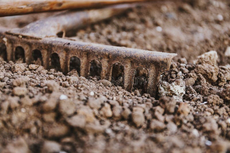 Rusty Hay Rake Forgotten in the Finnish Forest. Old Horse Drawn Farming ...