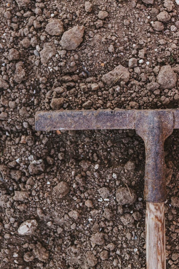 Old Rusty Rake Lays on the Ground Stock Photo - Image of dirt ...