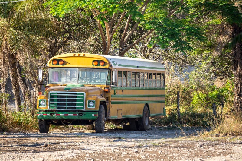 An old rusty school bus stock image. Image of metal, jungle - 63890865