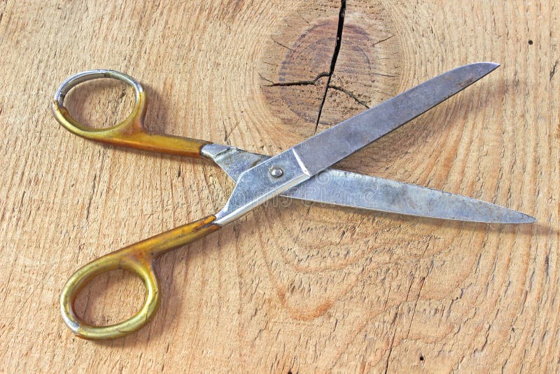 Old Rusty Scissors and Needle - Sewing Tools Stock Image - Image of ...