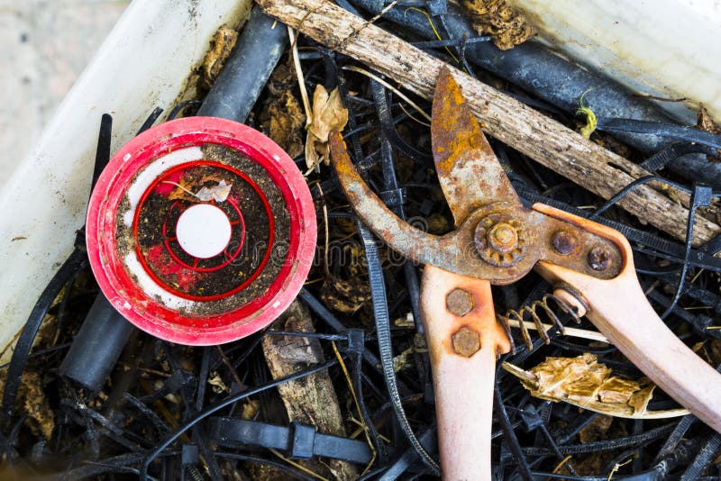 Old Rusty Secateurs and a Plastic Reel Stock Photo - Image of ...