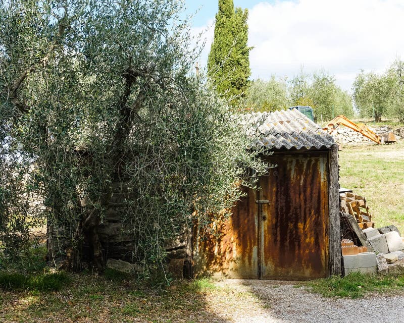 Old Rusty Shed in Garden with Trees Stock Photo - Image of detail, moss ...
