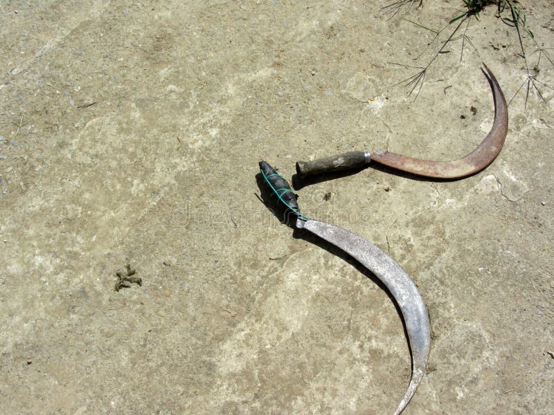 Two sickles stock photo. Image of harvesting, grass, rugged - 4920020