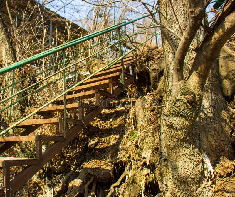 The Old Rusty Staircase in the Trees Stock Photo - Image of scenic ...