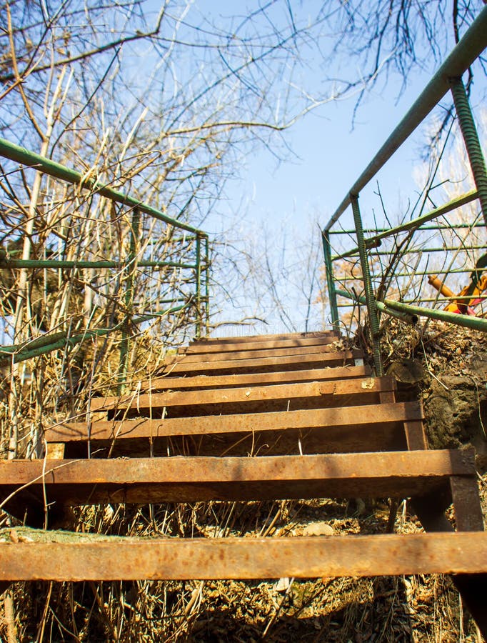 The Old Rusty Staircase in the Trees Stock Photo - Image of metal ...