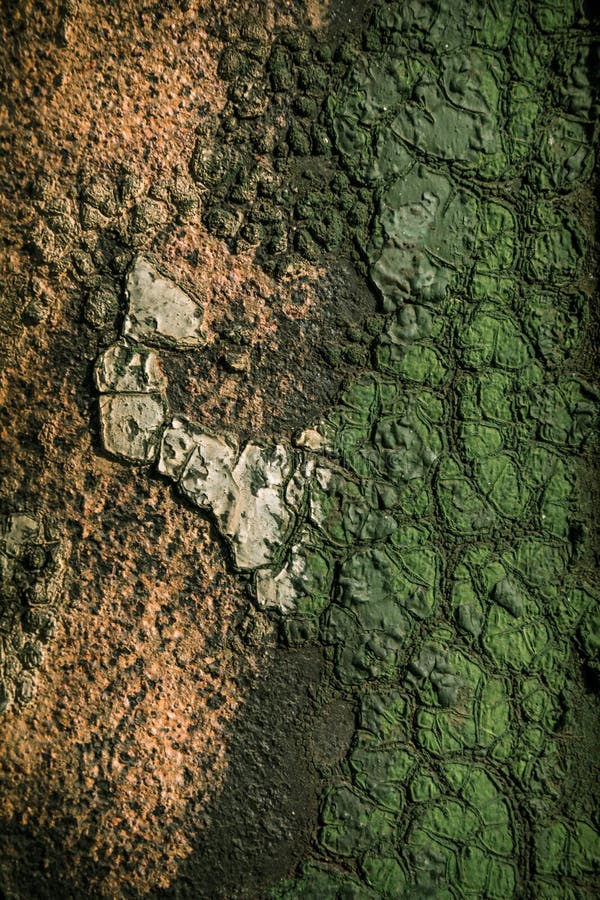 6,133 Rusty Can Texture Stock Photos - Free & Royalty-Free Stock Photos ...