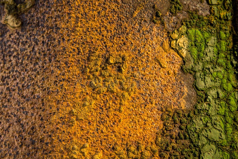 6,133 Rusty Can Texture Stock Photos - Free & Royalty-Free Stock Photos ...