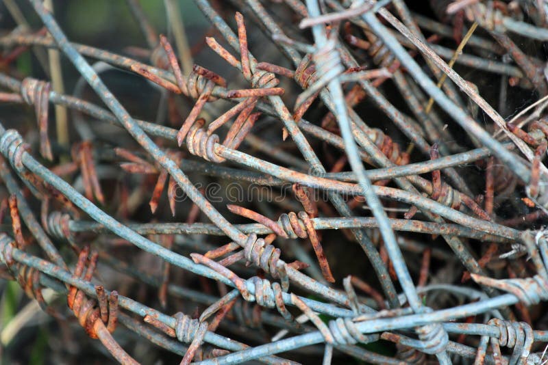 Tangled Barbed Wire. Abstract Background with Selective Focus Stock ...