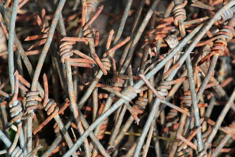 104 Tangled Wire Border Stock Photos - Free & Royalty-Free Stock Photos ...