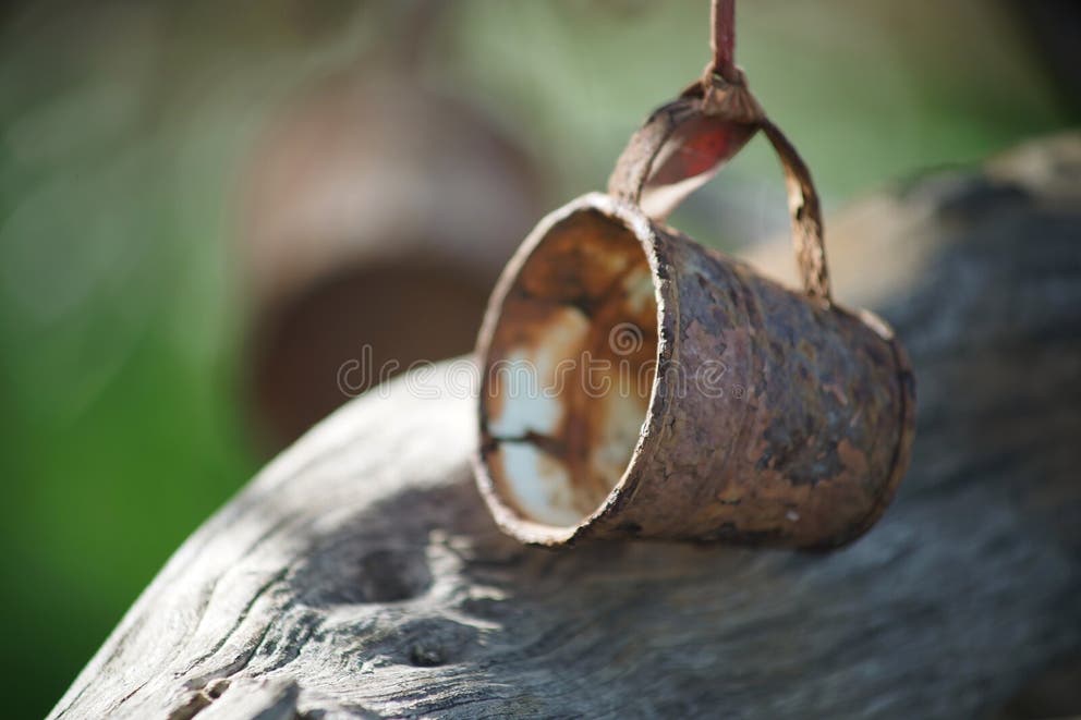 Old Rusty Vintage Canister Kettle on the Tree Stock Photo - Image of ...