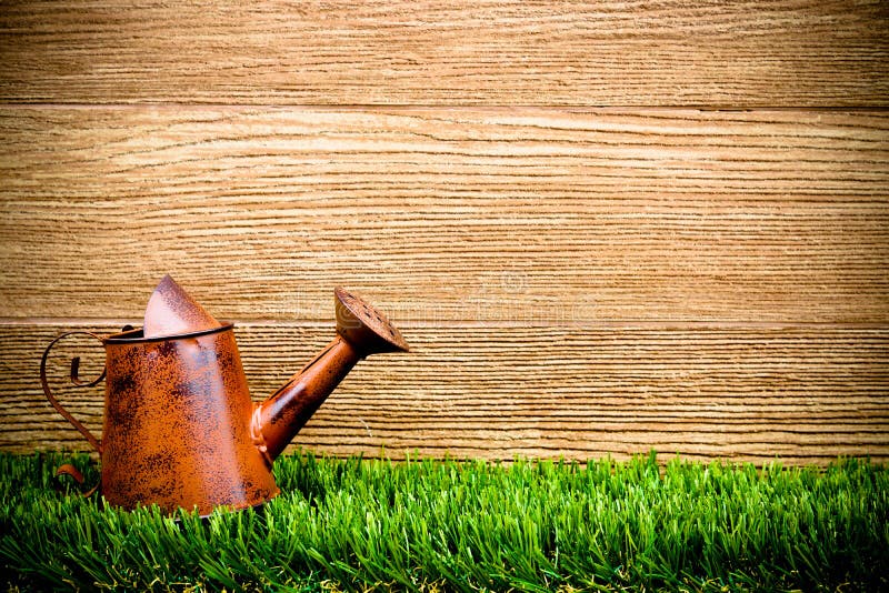 An Old Rusty Watering Can is Used To Water the Plants in the Garden ...
