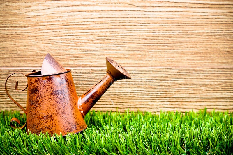 An Old Rusty Watering Can is Used To Water the Plants in the Garden ...