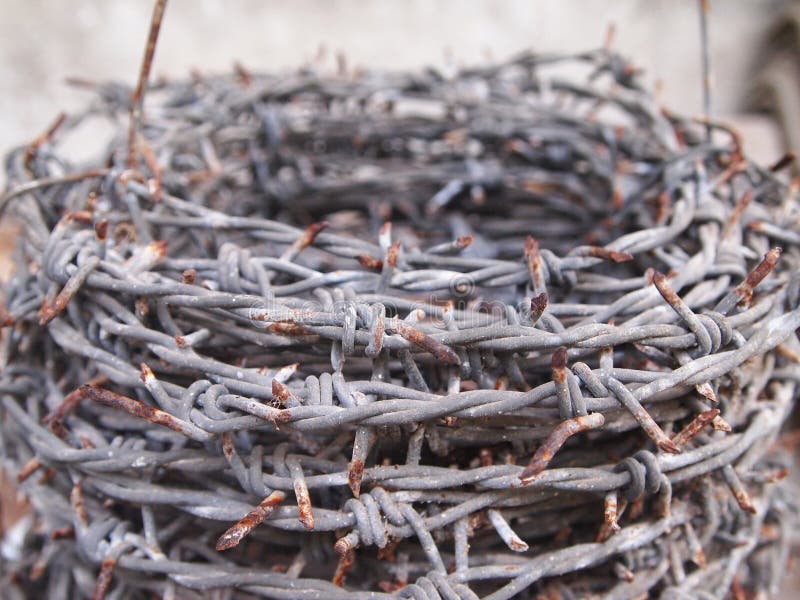 Old rusty wire stock photo. Image of single, spiky, steel - 36211380