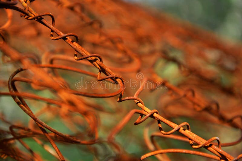 573 Twisted Wire Mesh Stock Photos - Free & Royalty-Free Stock Photos ...