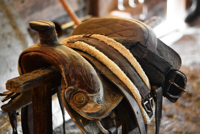 The old saddle in the barn stock photo. Image of detoxifying - 173634798