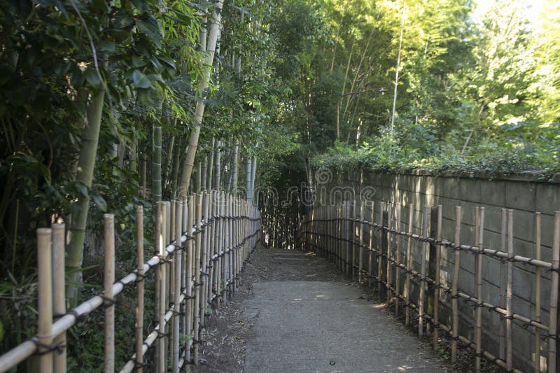 Old Samurai Road in the Middle of a Bamboo Forest in Sakura, Japan ...