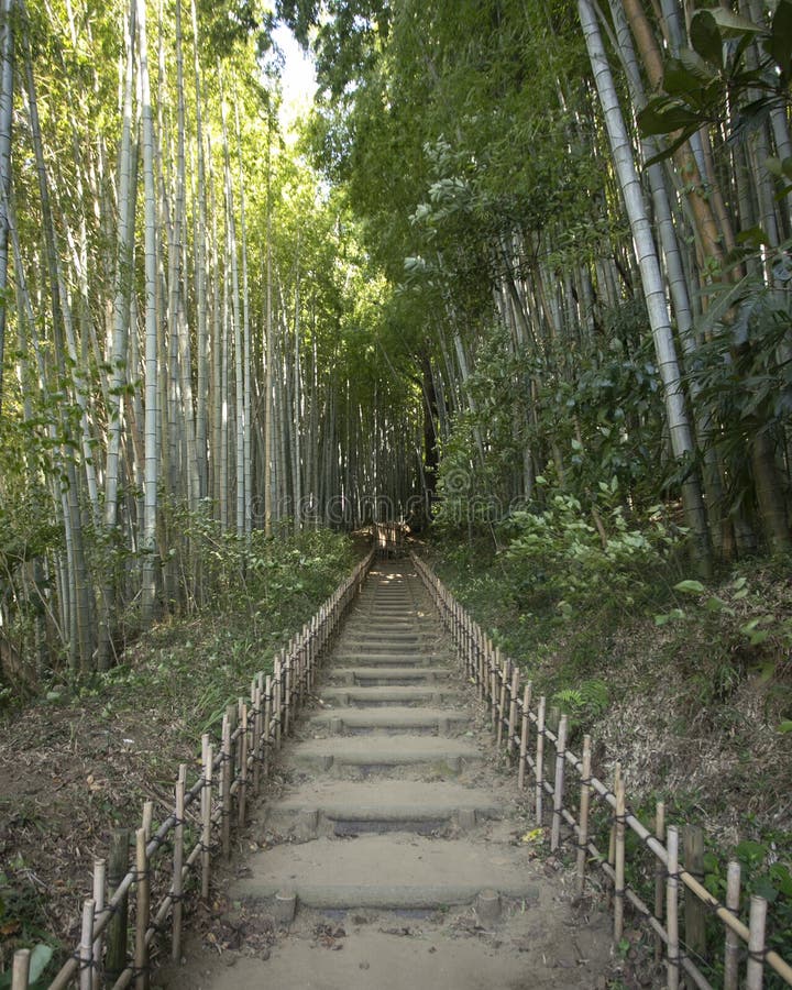 Old Samurai Road in the Middle of a Bamboo Forest in Sakura, Japan ...