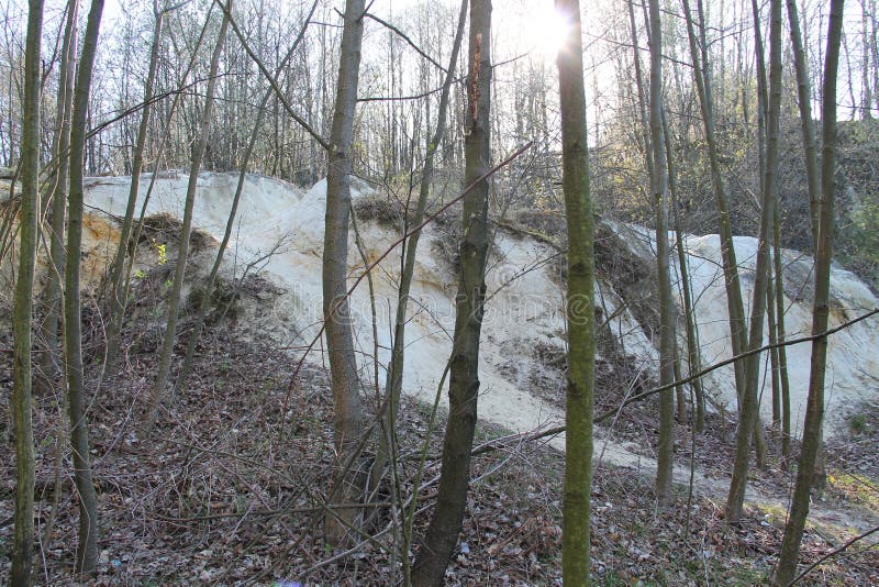 Old sand pit stock image. Image of sand, geology, environmental - 188019135