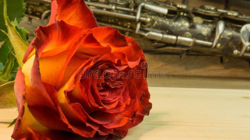 Old saxophone with roses stock photo. Image of songs - 88805374