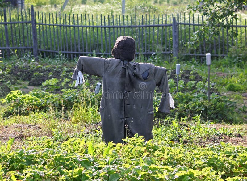 Old scarecrow stock image. Image of tect, harvest, clothed - 29853795
