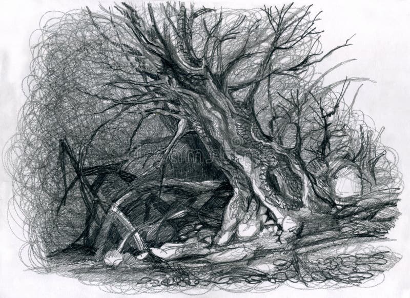 Old Scary Forest, Terrible Tree with Crooked Branches, Drawing from a ...