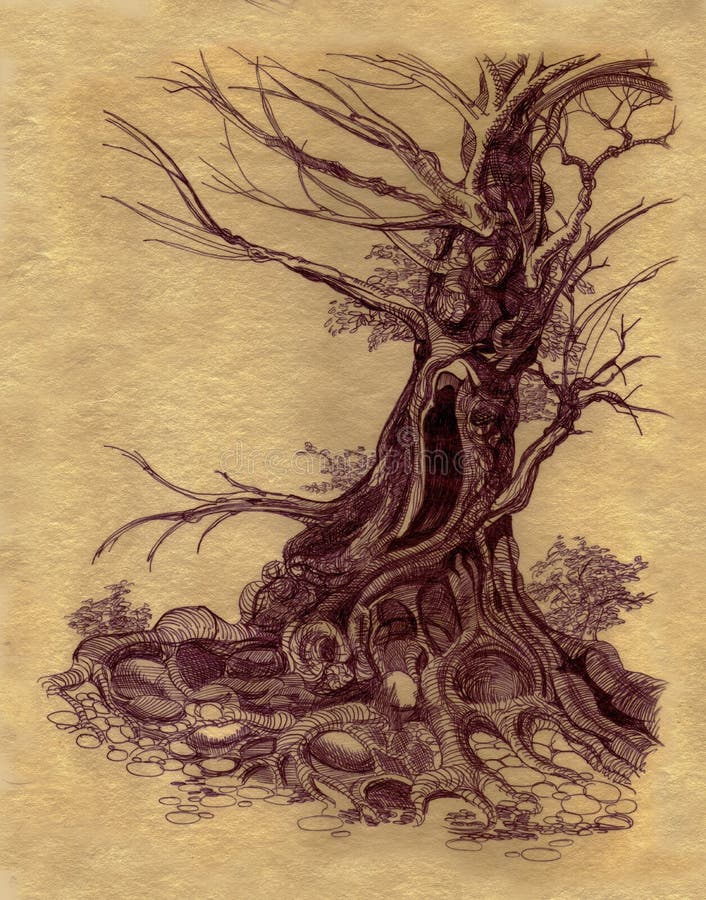 Scary Trees Drawings
