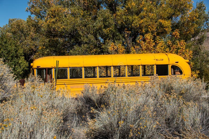 179 Old Rusty Abandoned School Bus Stock Photos - Free & Royalty-Free ...
