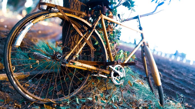 Old school cycle stock photo. Image of cycle, flower - 182361870