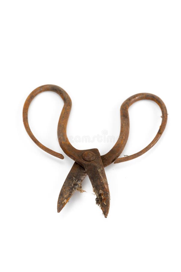 Old scissors full of rust stock photo. Image of rusted - 58056400