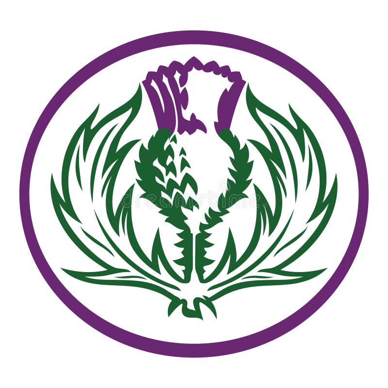 Old Scottish Design. Thistle Flower in Celtic Ethnic Style Stock ...