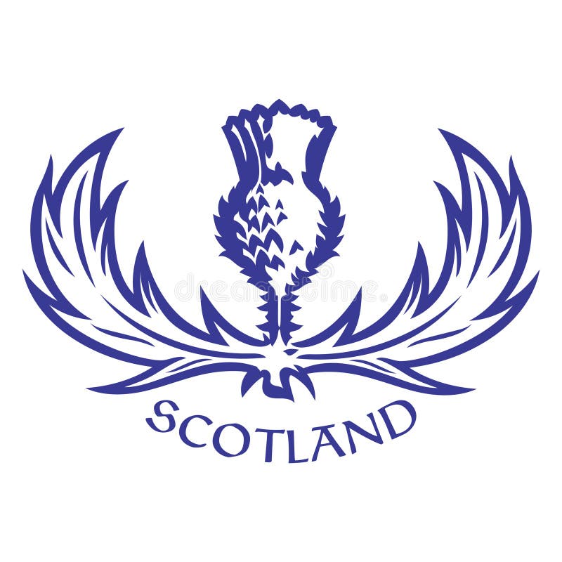 Thistle Flower and Ornament Round Leaf Thistle. the Symbol of Scotland ...