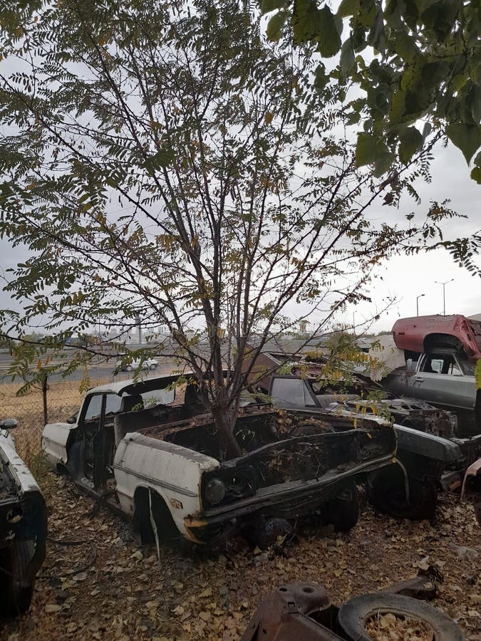 Scrap vehicle. stock image. Image of waste, green, seats - 30847993