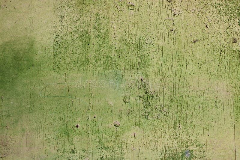 Old Scratched Green Wood Texture Stock Photo - Image of light ...