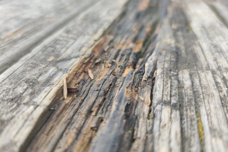 Old Scratched Wood Table Detail Stock Image - Image of structure, panel ...