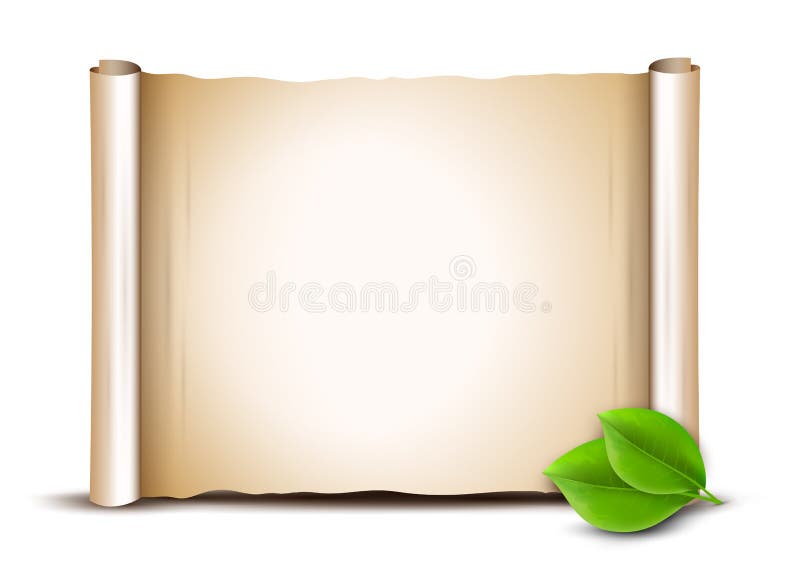 Old Scroll and Green Leaves Isolated on White Background. Stock Vector ...