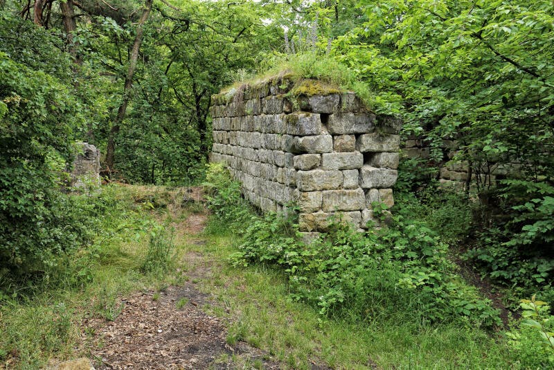 Old Scrubby Remains of the Wall in the Woods Stock Photo - Image of ...