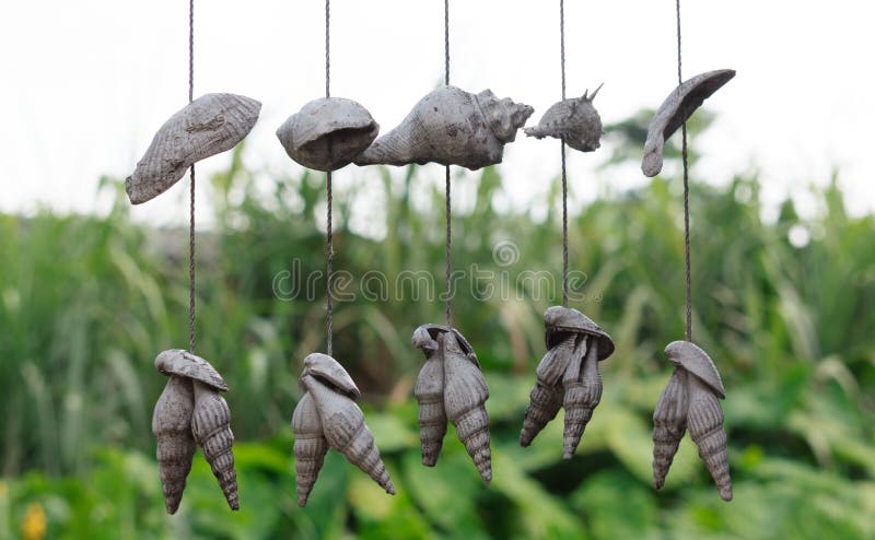 Old sea shell hang mobile stock image. Image of natural - 77200627