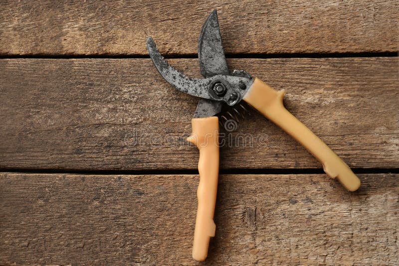 Old Secateur on Wooden Table, Top View Stock Image - Image of garden ...