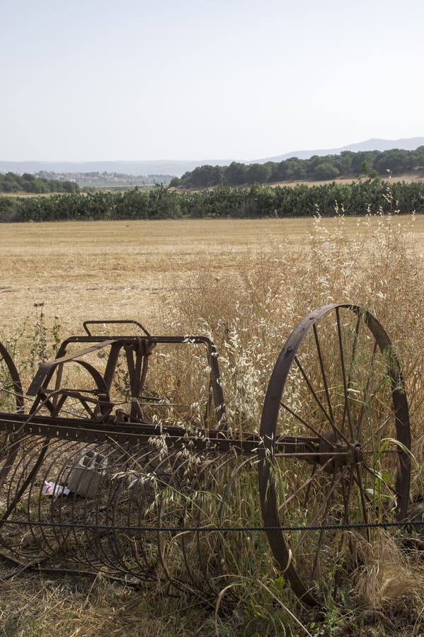 Old seeder stock image. Image of wetland, landscape - 274110967