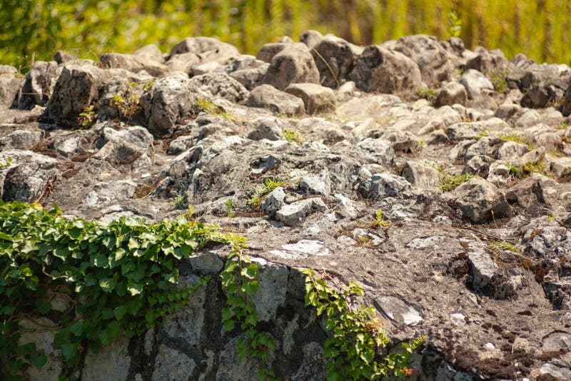 Old semi-circular bridge stock image. Image of hiking - 201489363