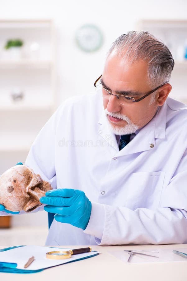Old Senior Anthropologist Working in the Lab Stock Photo - Image of ...