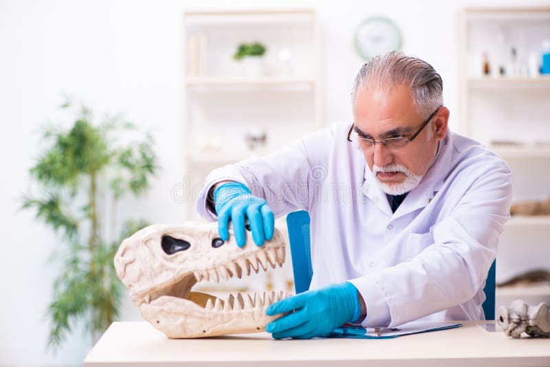 Old Senior Paleontologist Working in the Lab Stock Photo - Image of ...