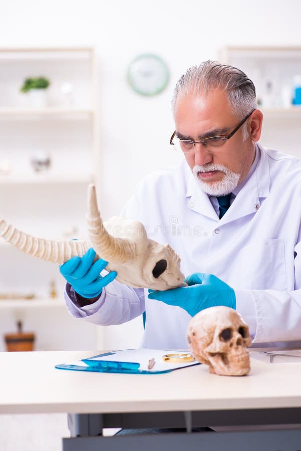 1,190 Paleontologist Lab Stock Photos - Free & Royalty-Free Stock ...