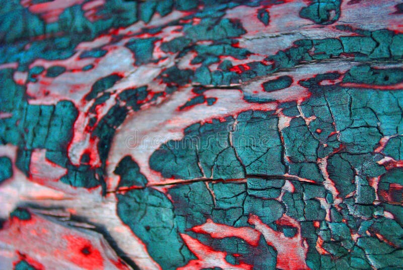 Old Shabby Tree Trunk Surface with Burned Stains, Red Outline ...