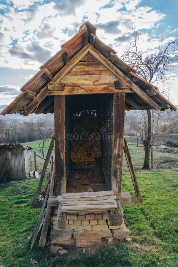 Old shack on a farm stock photo. Image of village, roof - 173452102