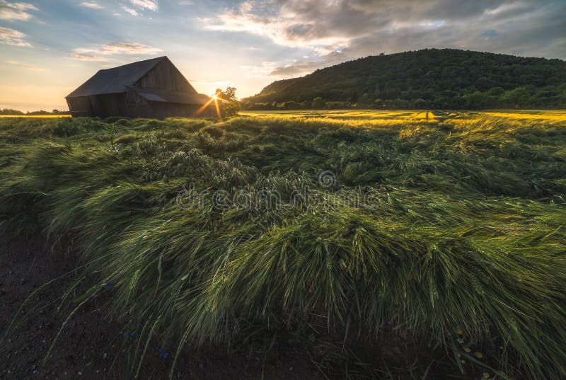 Old Shack in the Field stock photo. Image of outdoor - 119283304