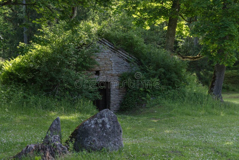 Old shack in forest summer stock photo. Image of entrance - 97892486