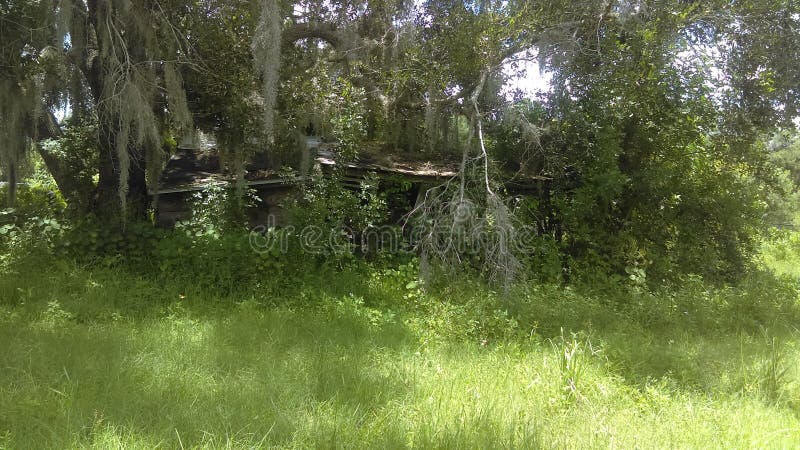 Old shack stock photo. Image of outdoors, building, shack - 121906366